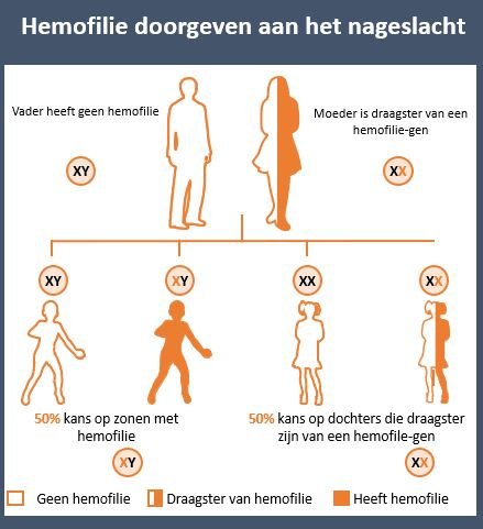 Erfelijkheid van hemofilie A & B | Overhemofilie